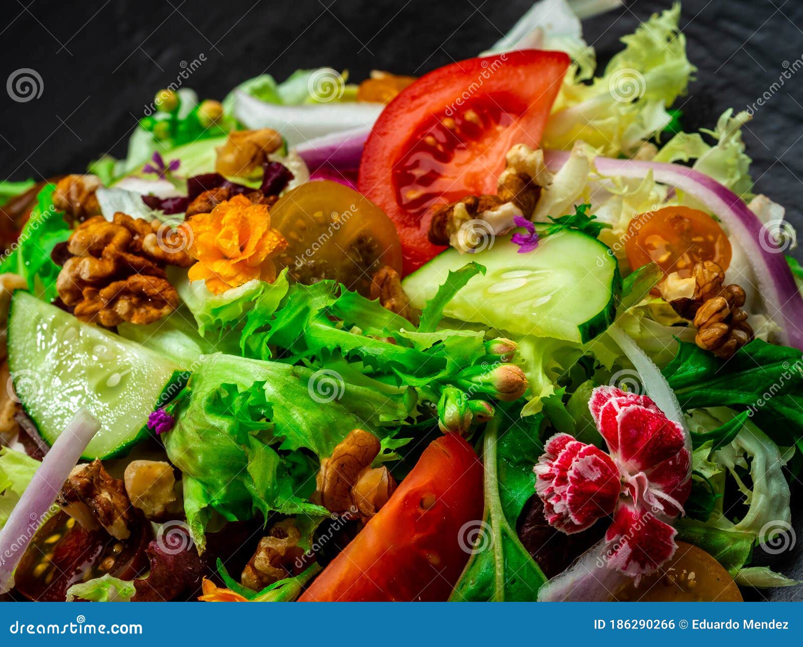 Salad of Different Types of Lettuce Stock Photo - Image of bowl ...