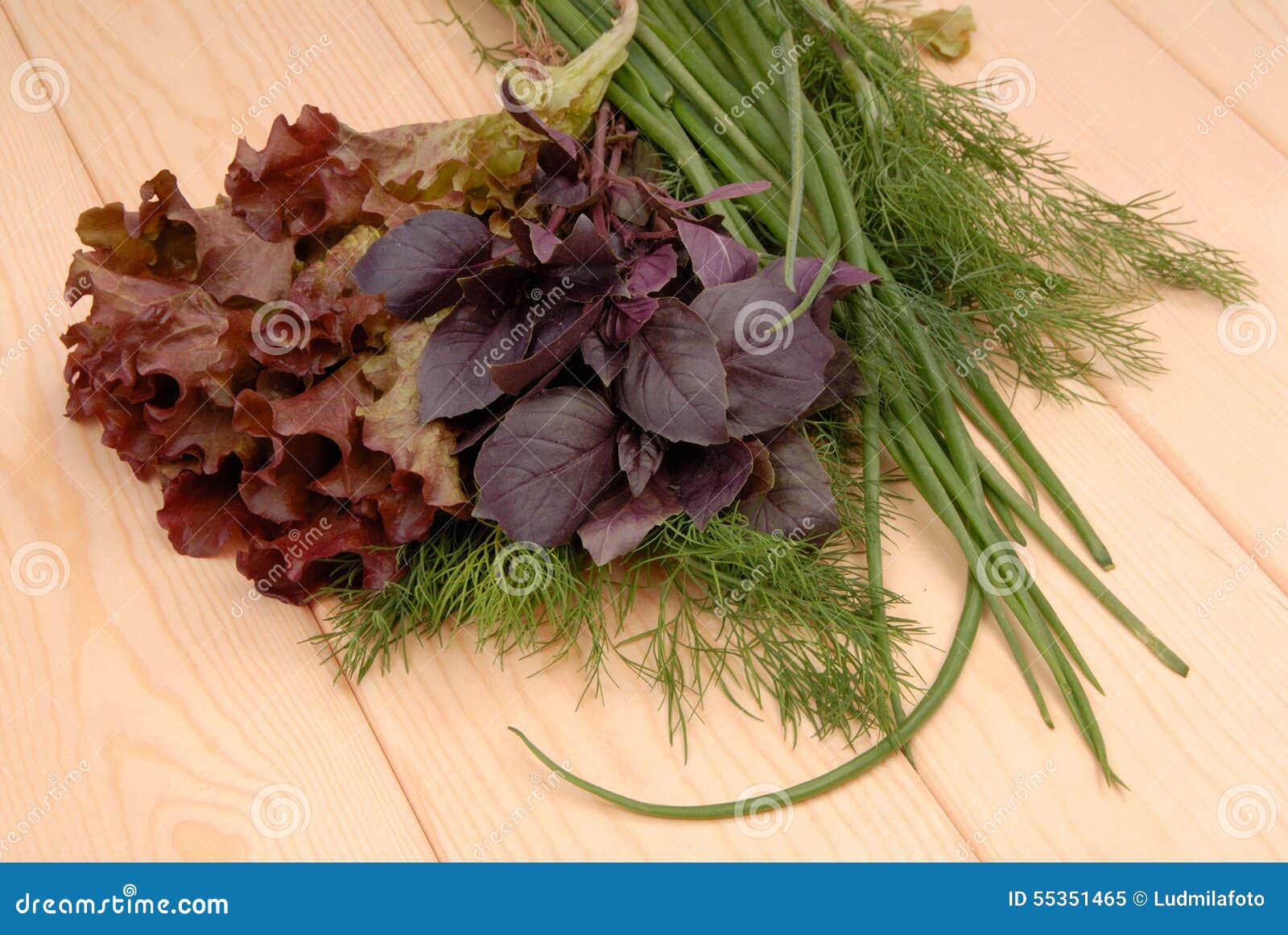 Salad, Dill, Basil, Spring Onions, Stock Image - Image of freshness ...