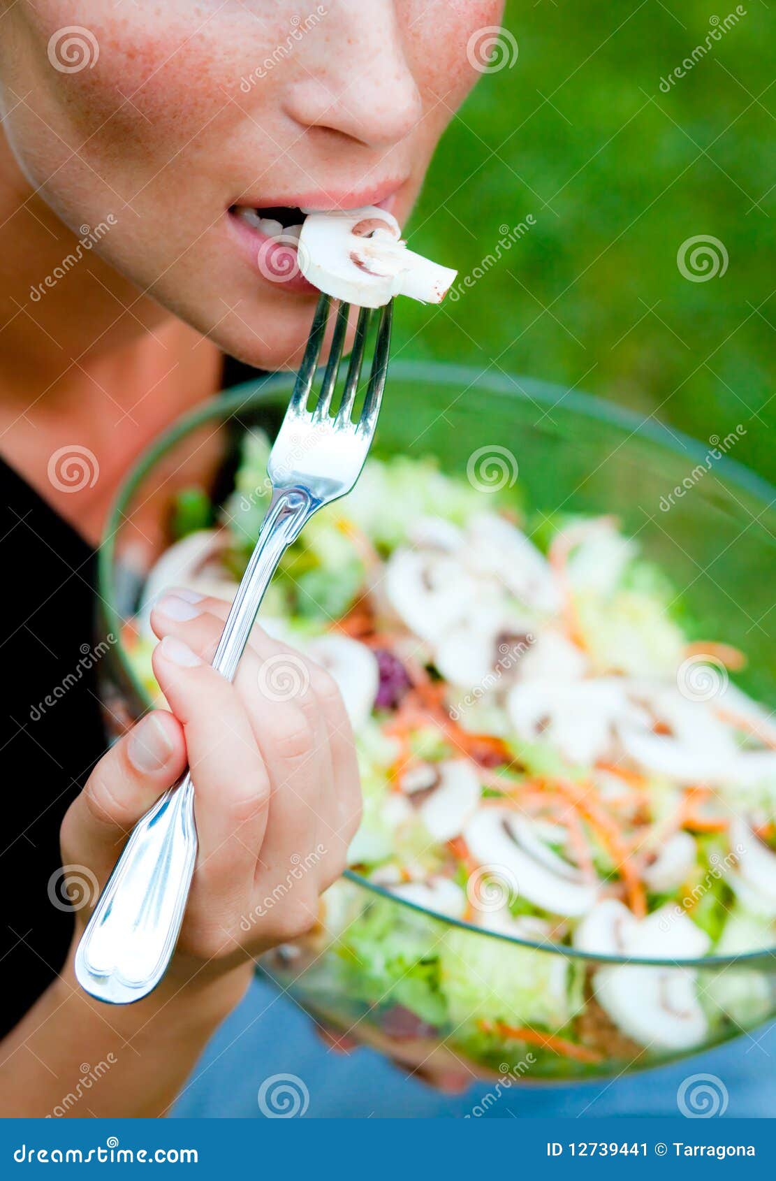 Salad eating in garden stock image. Image of lifestyle - 12739441