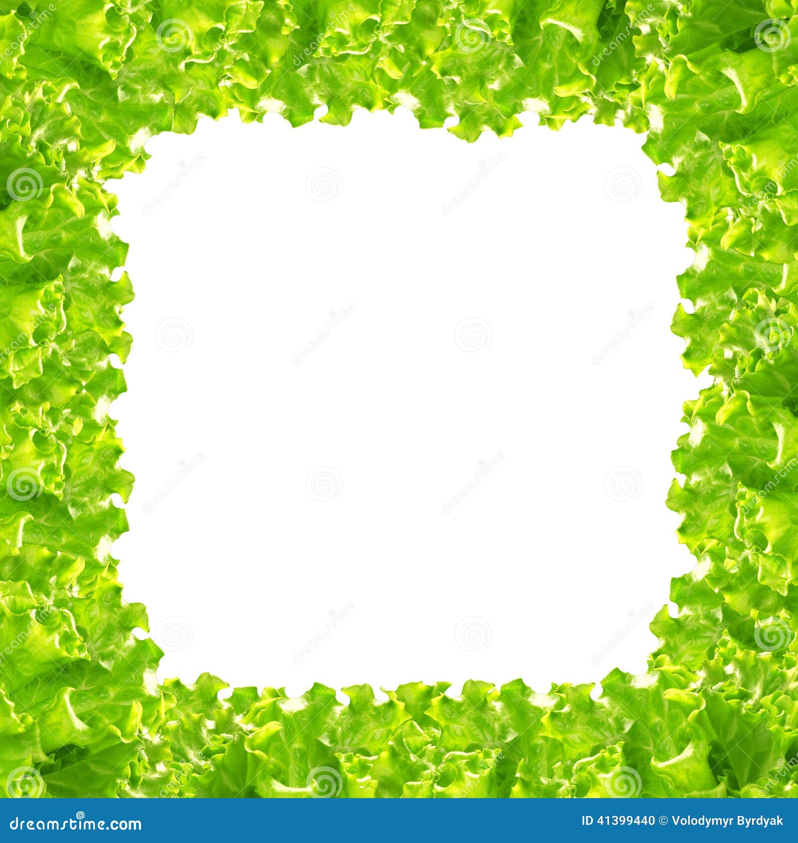 Salad frame stock photo. Image of color, nature, food - 41399440