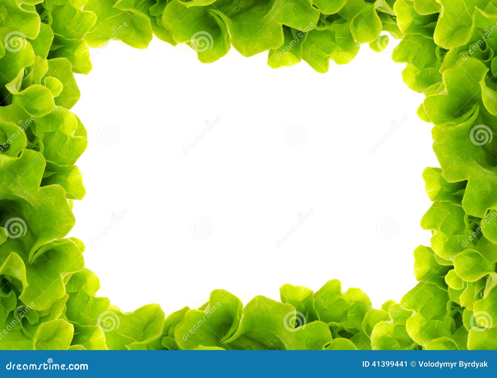 Salad frame stock image. Image of nature, freshness, ingredient - 41399441