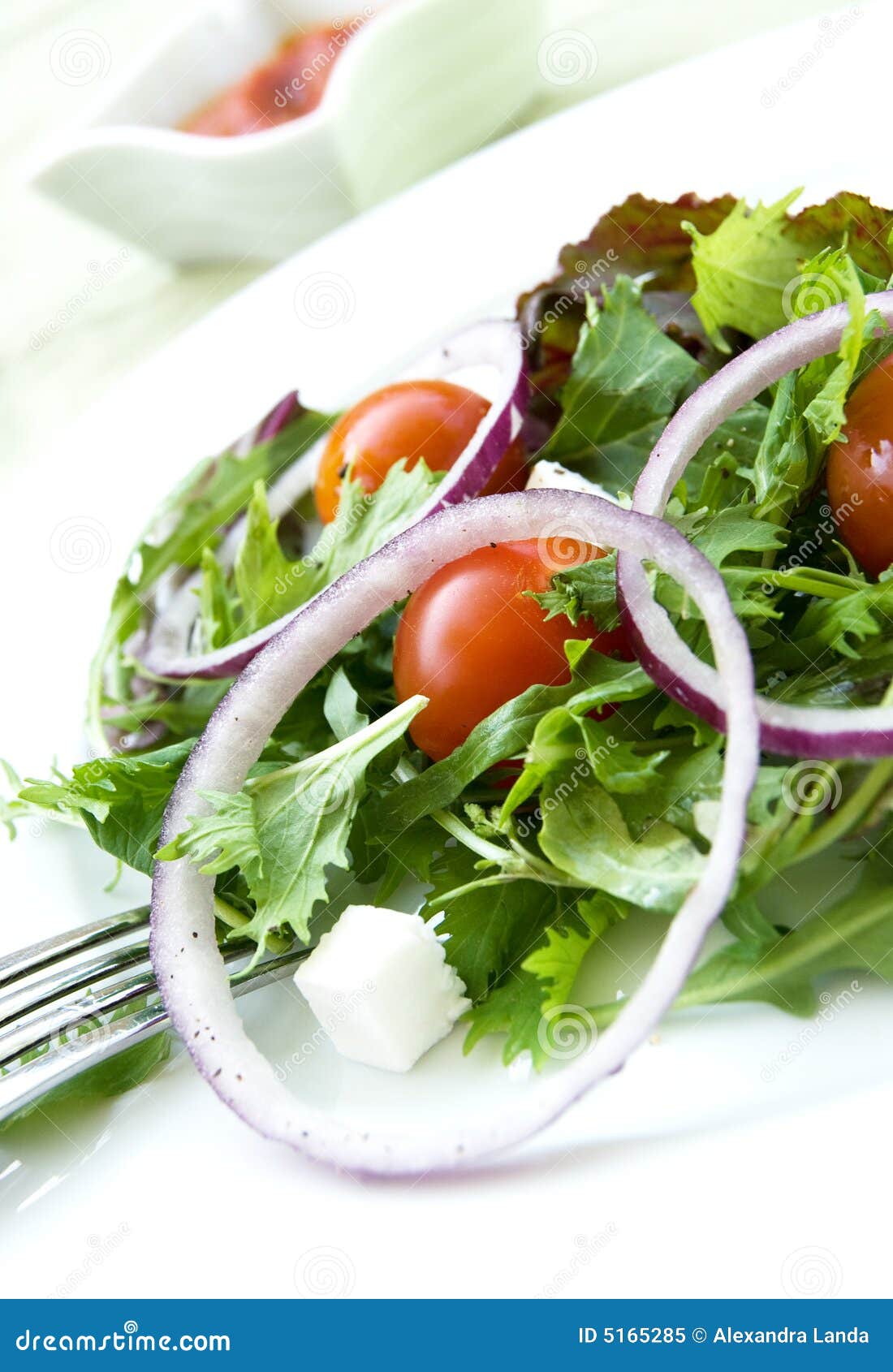 Salad of fresh vegetables. stock image. Image of dish - 5165285