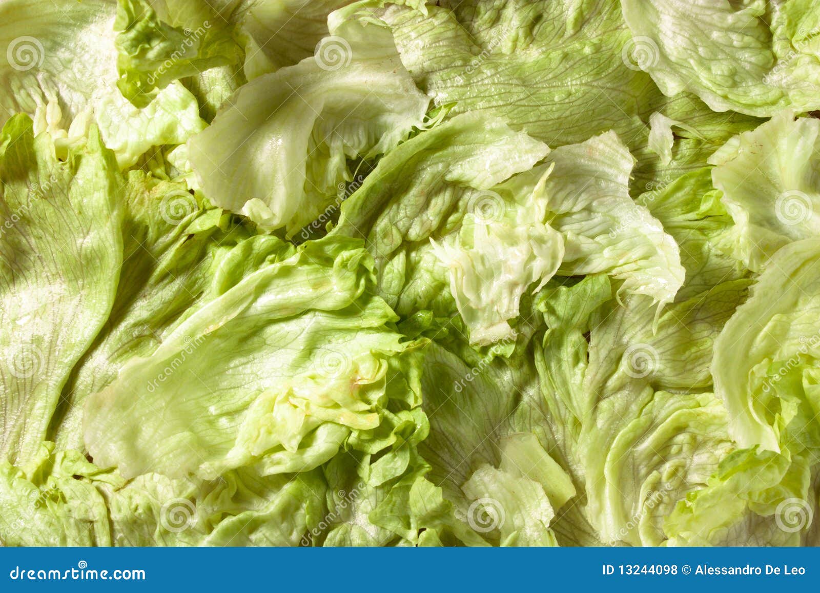 Salad, Full Frame stock photo. Image of color, vegetable - 13244098