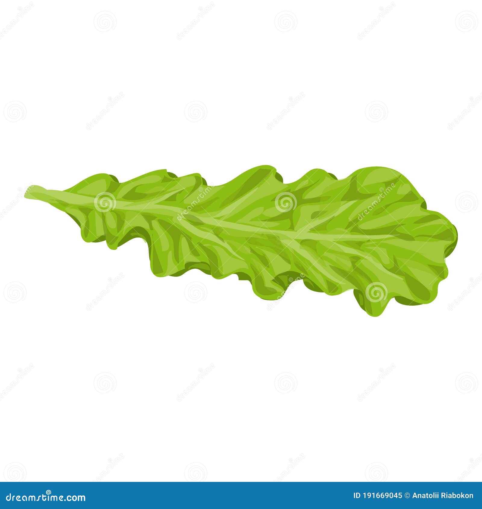 Cartoon Lettuce Leaf
