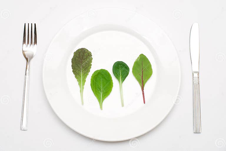 Salad leaf on the plate stock photo. Image of materials - 13762162