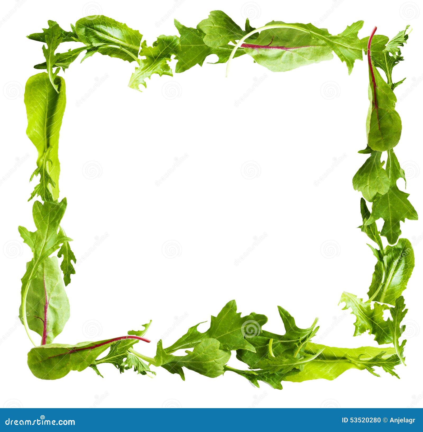 Salad Leaves Frame Isolated on White Background Stock Photo - Image of ...
