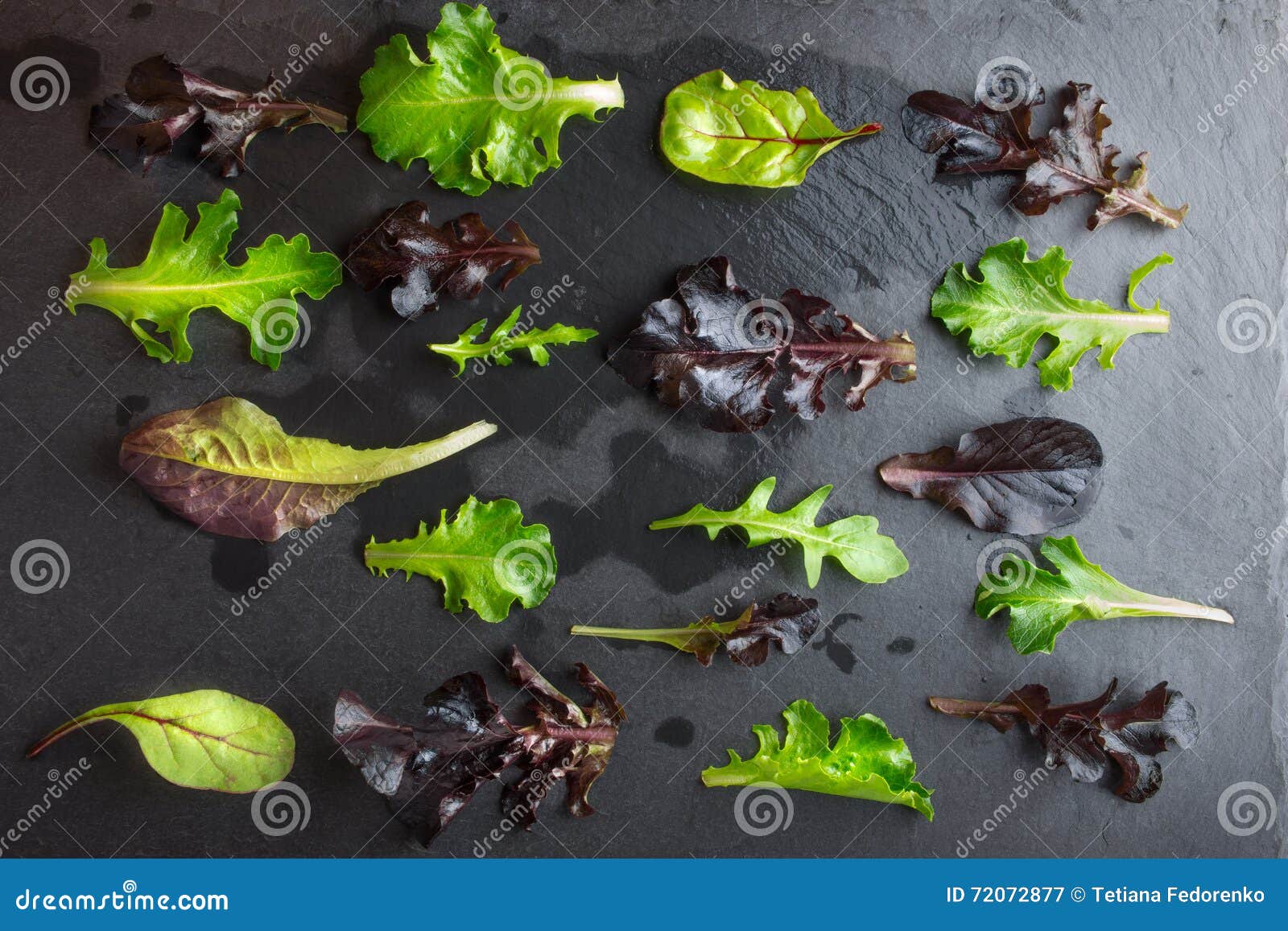 5,870 Salad Lettuce Pattern Stock Photos - Free & Royalty-Free Stock ...