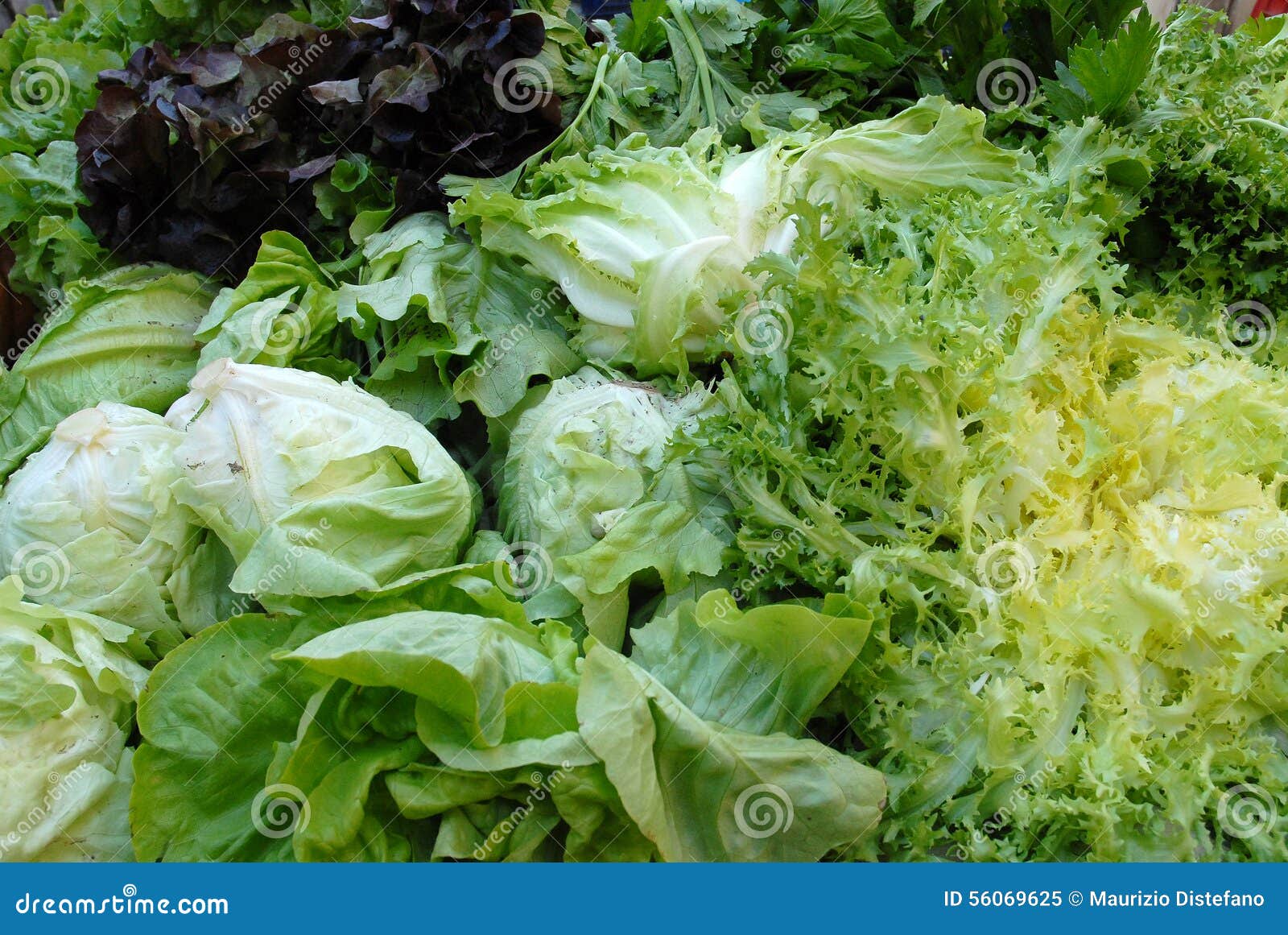 Salad at the market stock image. Image of shop, cooking - 56069625