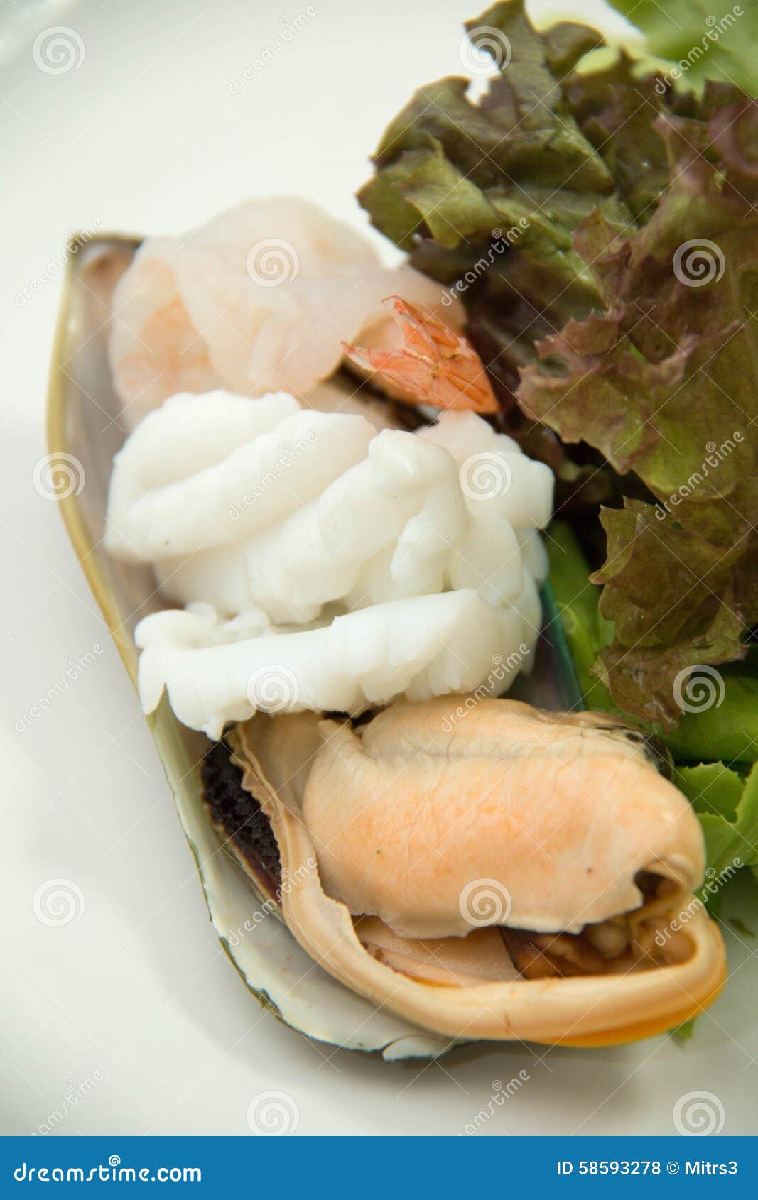Salad Mix Shrimp Prawn Shellfish Stock Photo - Image of gourmet ...