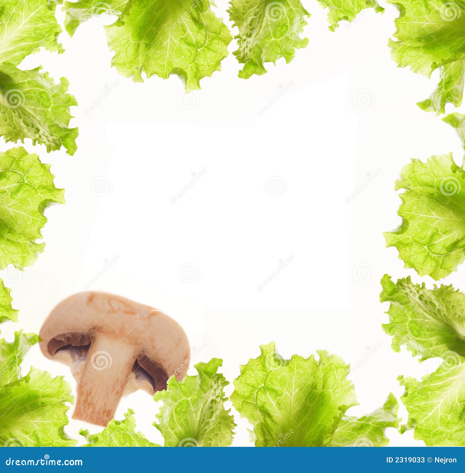 Salad and mushroom border stock image. Image of leaf, dieting - 2319033