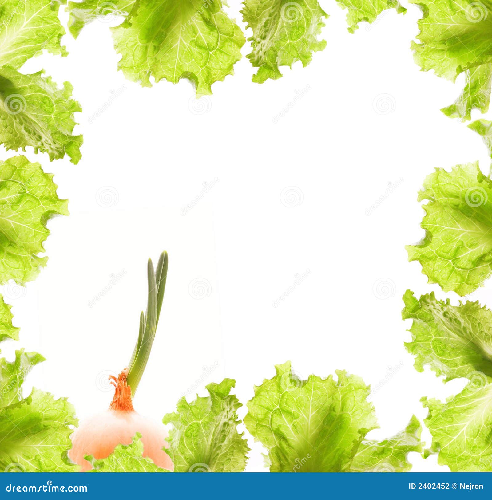 Salad and onion border stock photo. Image of harmony, border - 2402452