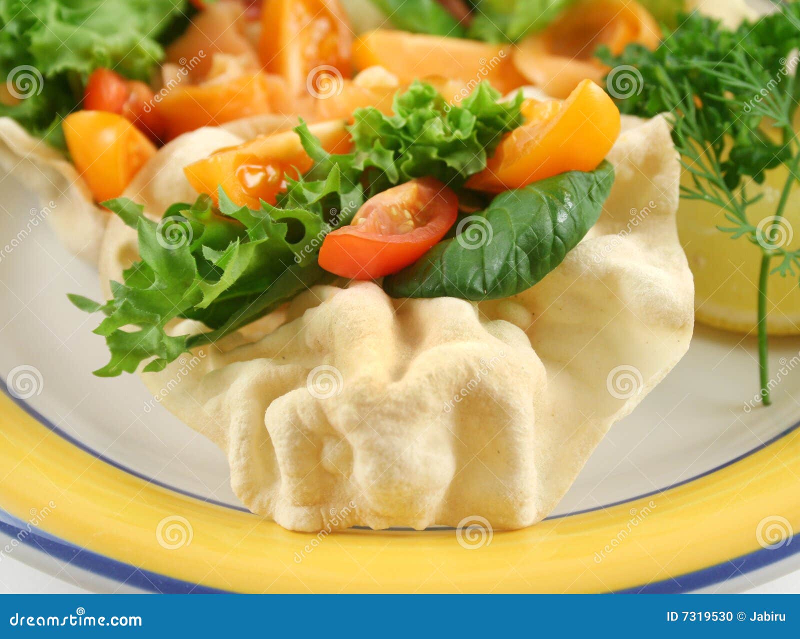 Salad with a Pappadum stock photo. Image of culinary, healthy - 7319530