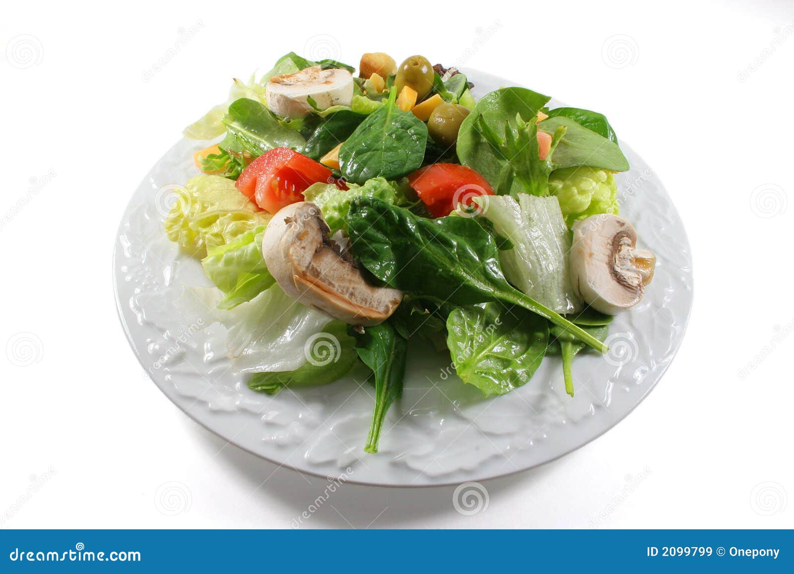 Salad Plate stock image. Image of mixed, green, food, onion - 2099799