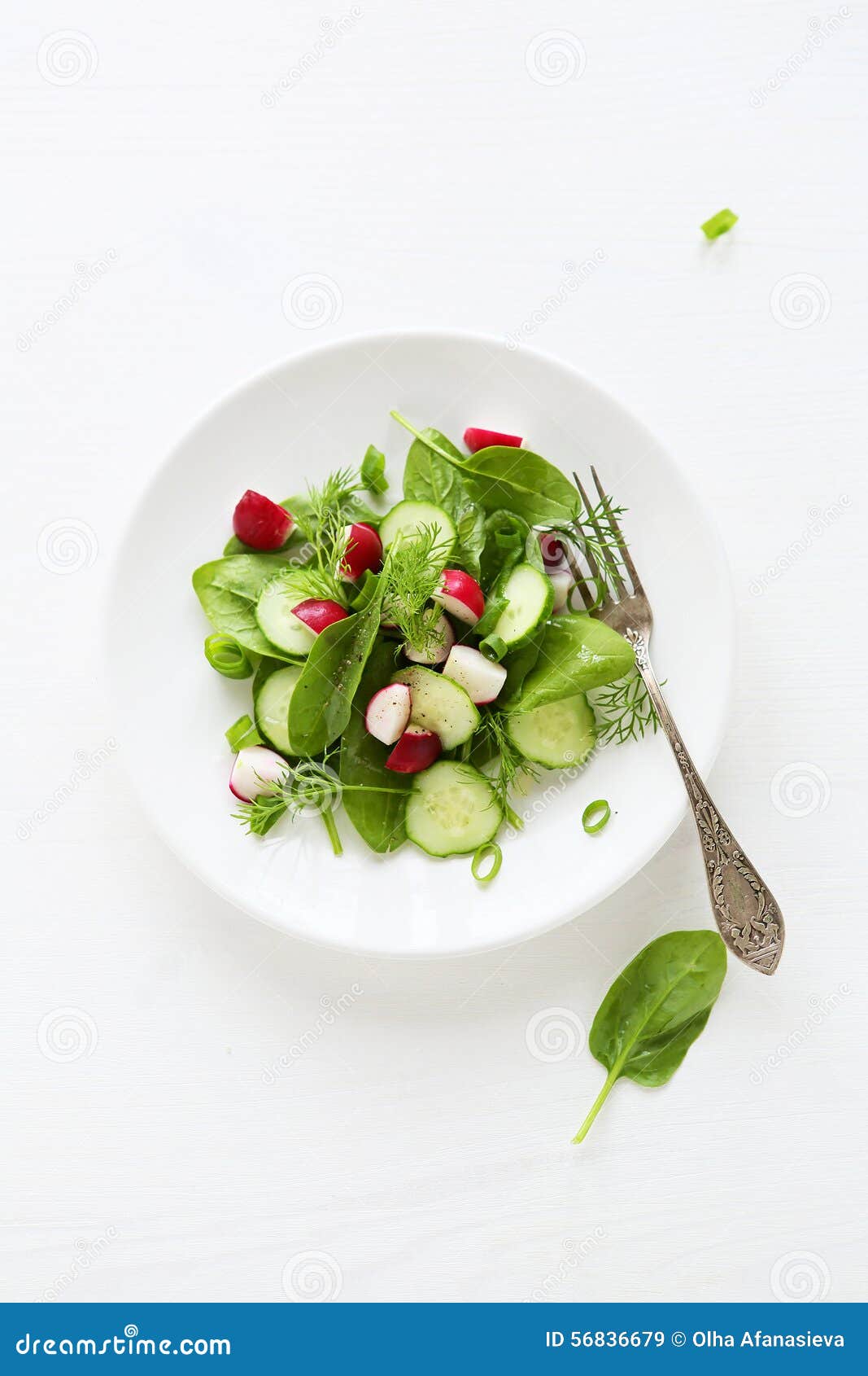 Salad on plate top view stock image. Image of plate, dill - 56836679
