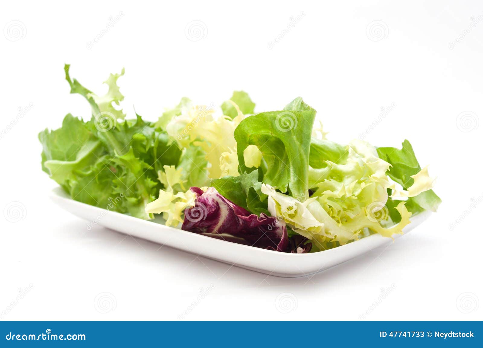 Salad in a plate stock image. Image of healthy, fresh - 47741733