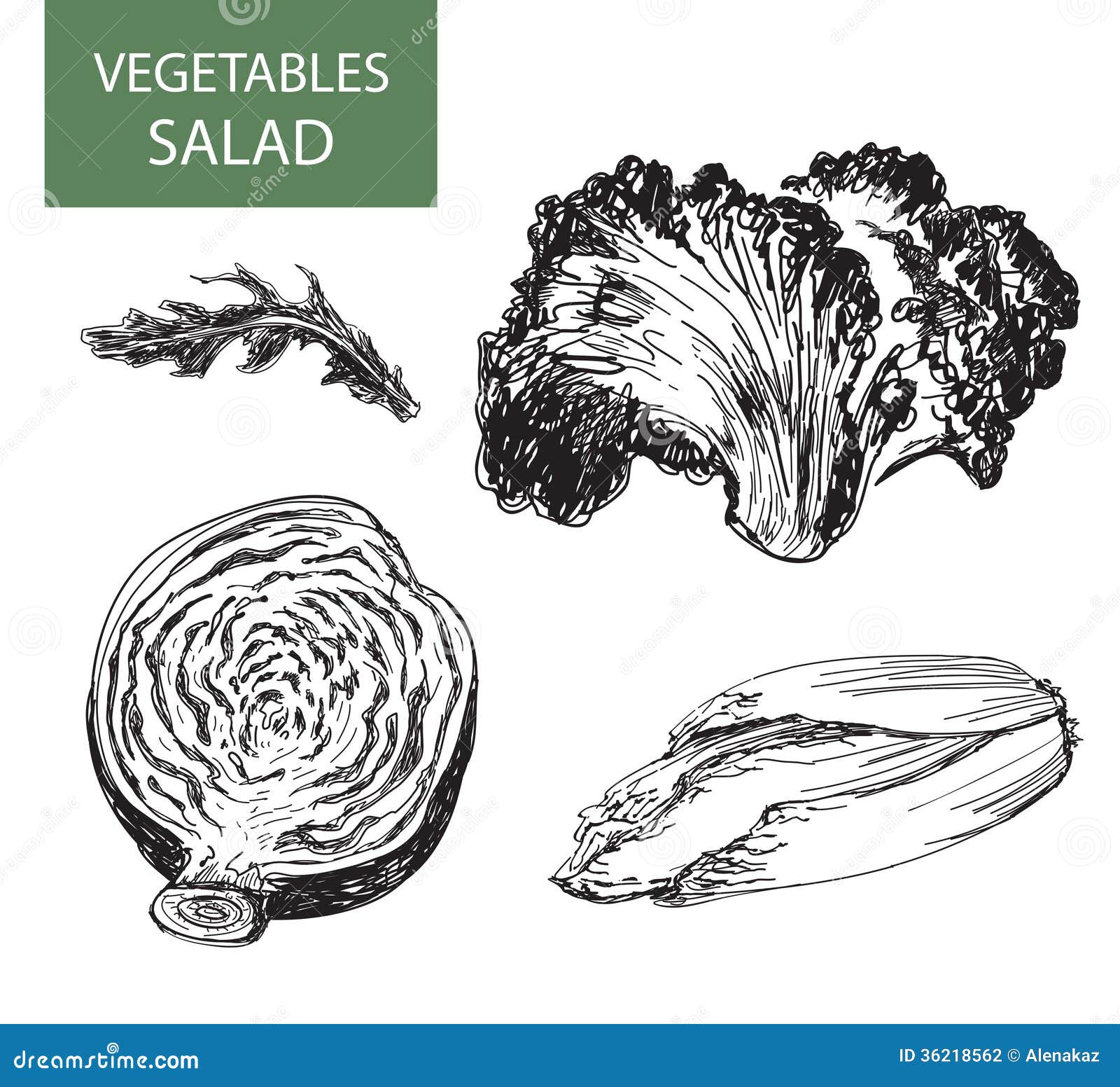 Salad - Set of Vector Illustration Stock Vector - Illustration of ...