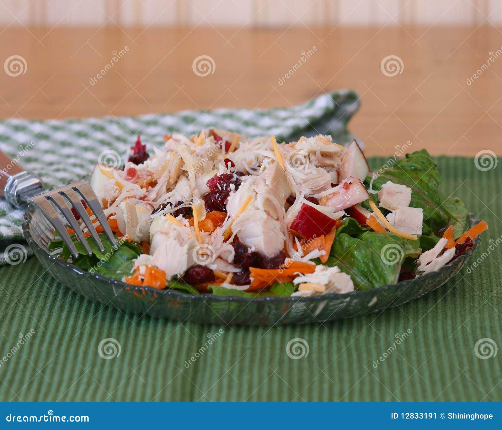Salad with Turkey stock image. Image of nutritious, plate - 12833191