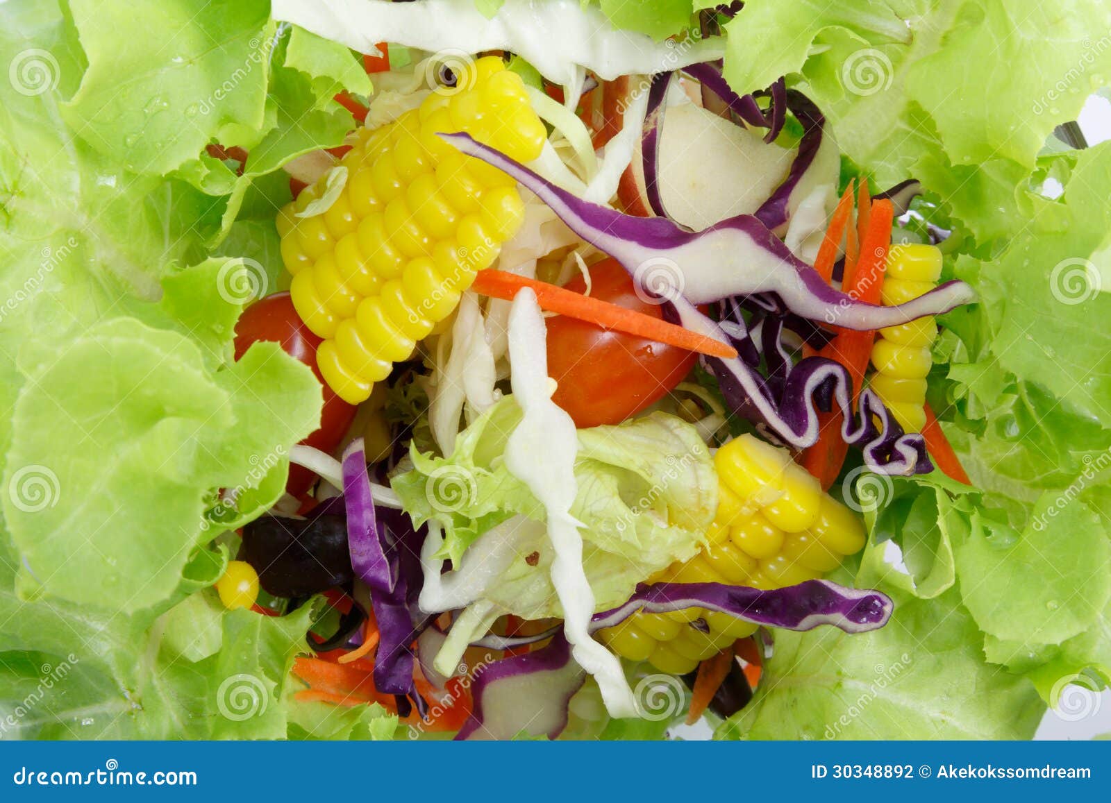 Salad on white background stock photo. Image of overweight - 30348892