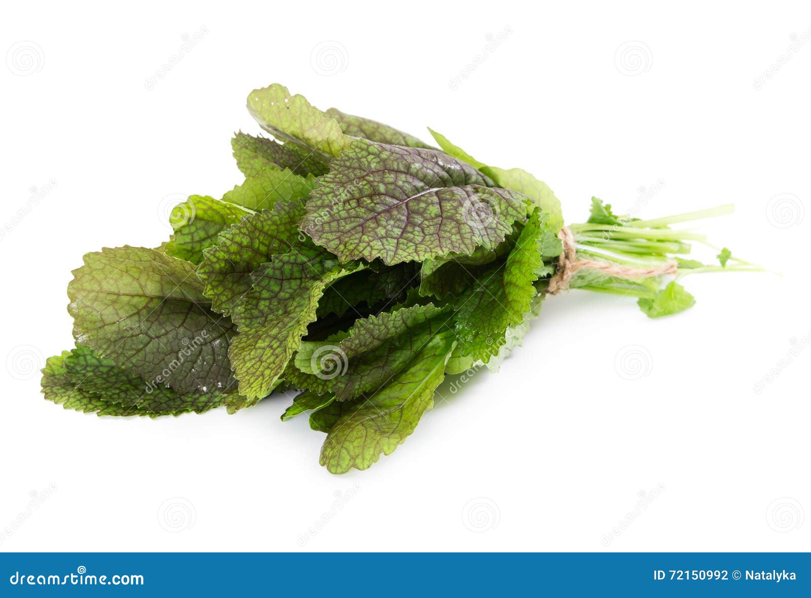 Salada Da Folha Da Mostarda Foto de Stock - Imagem de alface, verde ...