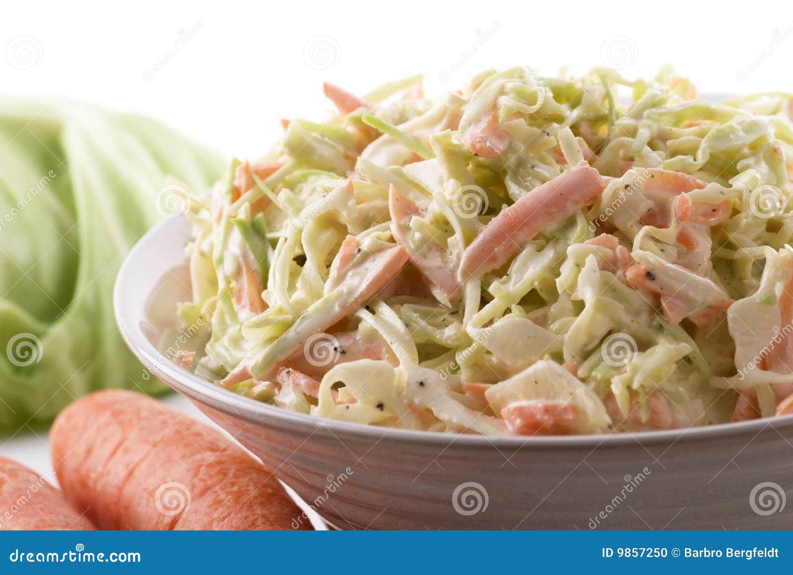 Salada de repolho foto de stock. Imagem de colônia, vegetariano - 9857250