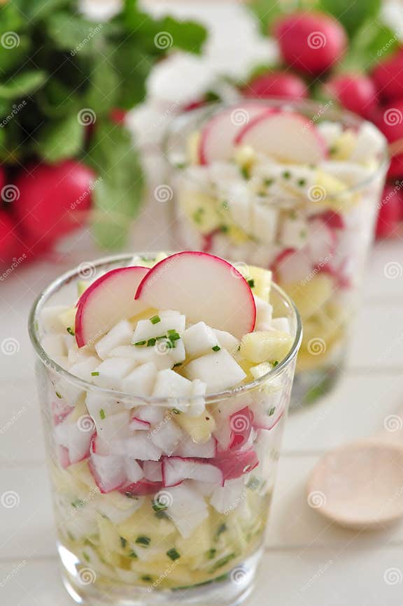 Salada do rabanete foto de stock. Imagem de cozinha, naughty - 31010858