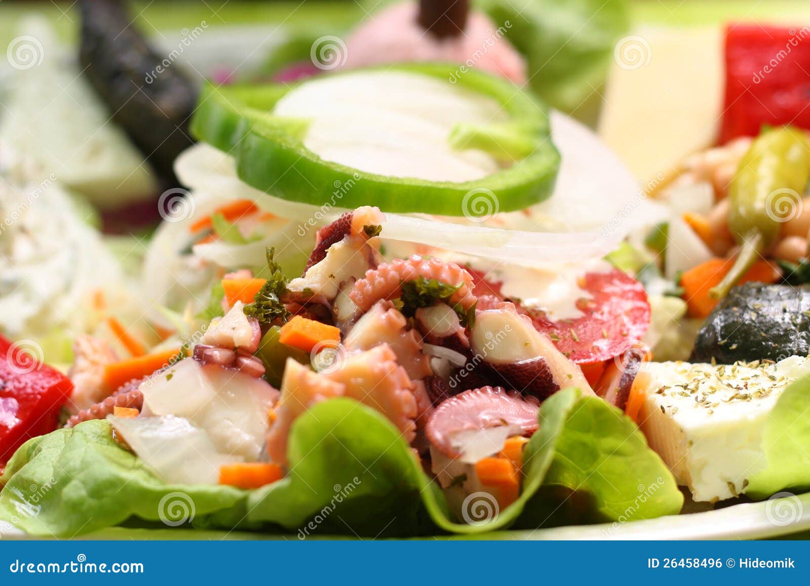 Salada of schaaf kase stock photo. Image of food, onion - 26458496