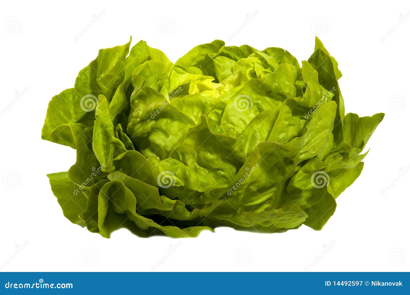 Salada Verde - Alface, Isolada No Branco Imagem de Stock - Imagem de ...