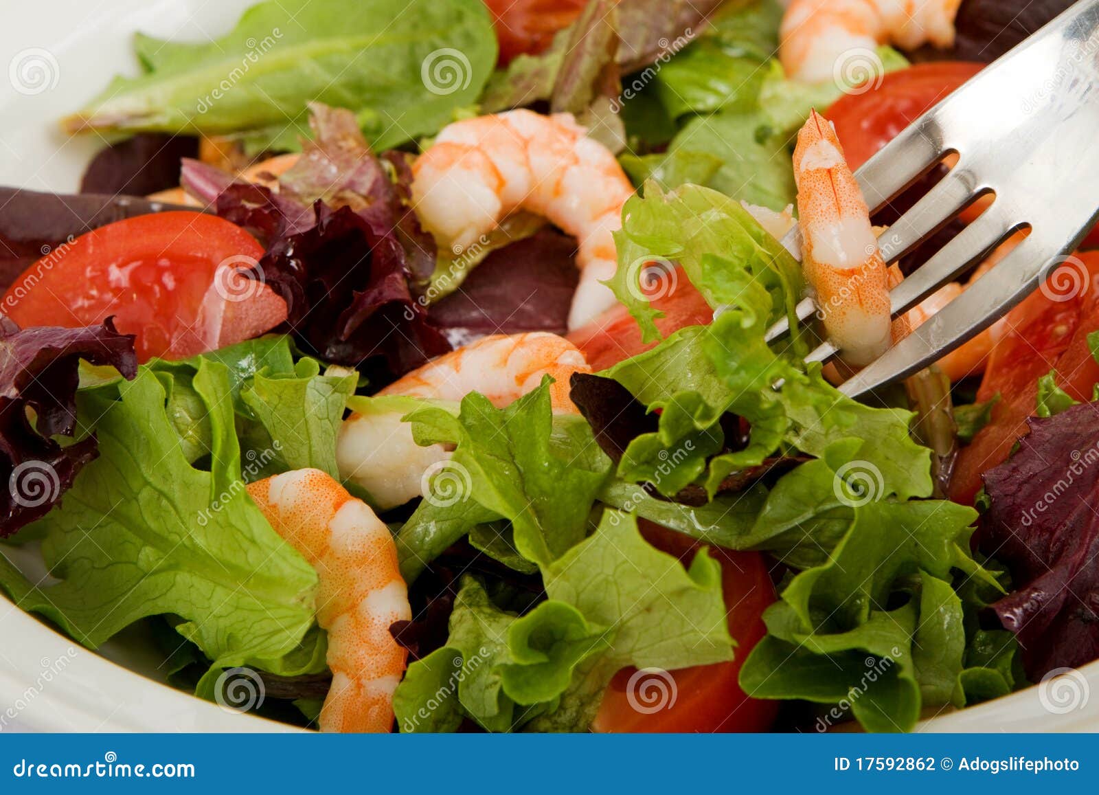 Salade verte de crevette photo stock. Image du lifestyle - 17592862
