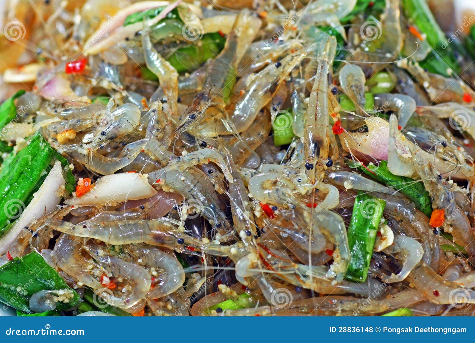 Salade vivante de crevette photo stock. Image du gourmet - 28836148