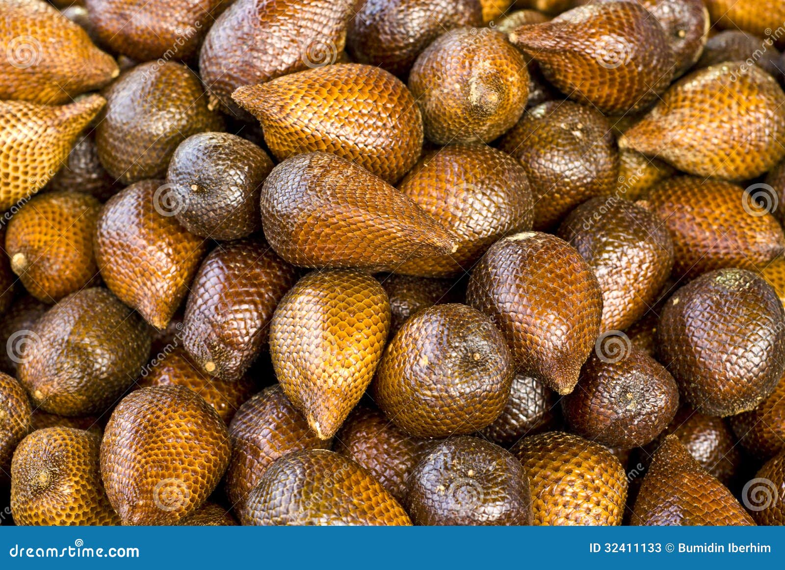 Salak image stock. Image du bali, asiatique, fruits, local - 32411133