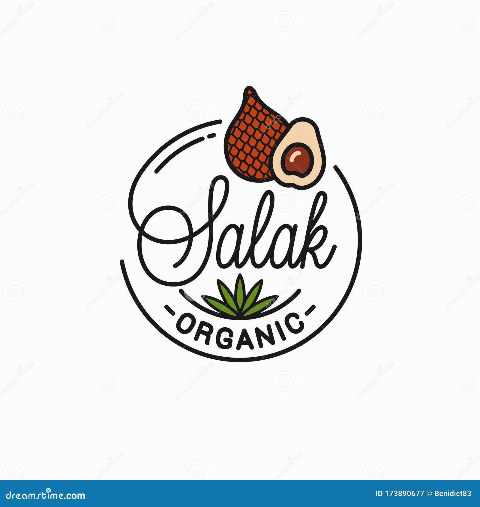 Salak Fruit Logo. Round Linear of Snake Slice Stock Vector ...