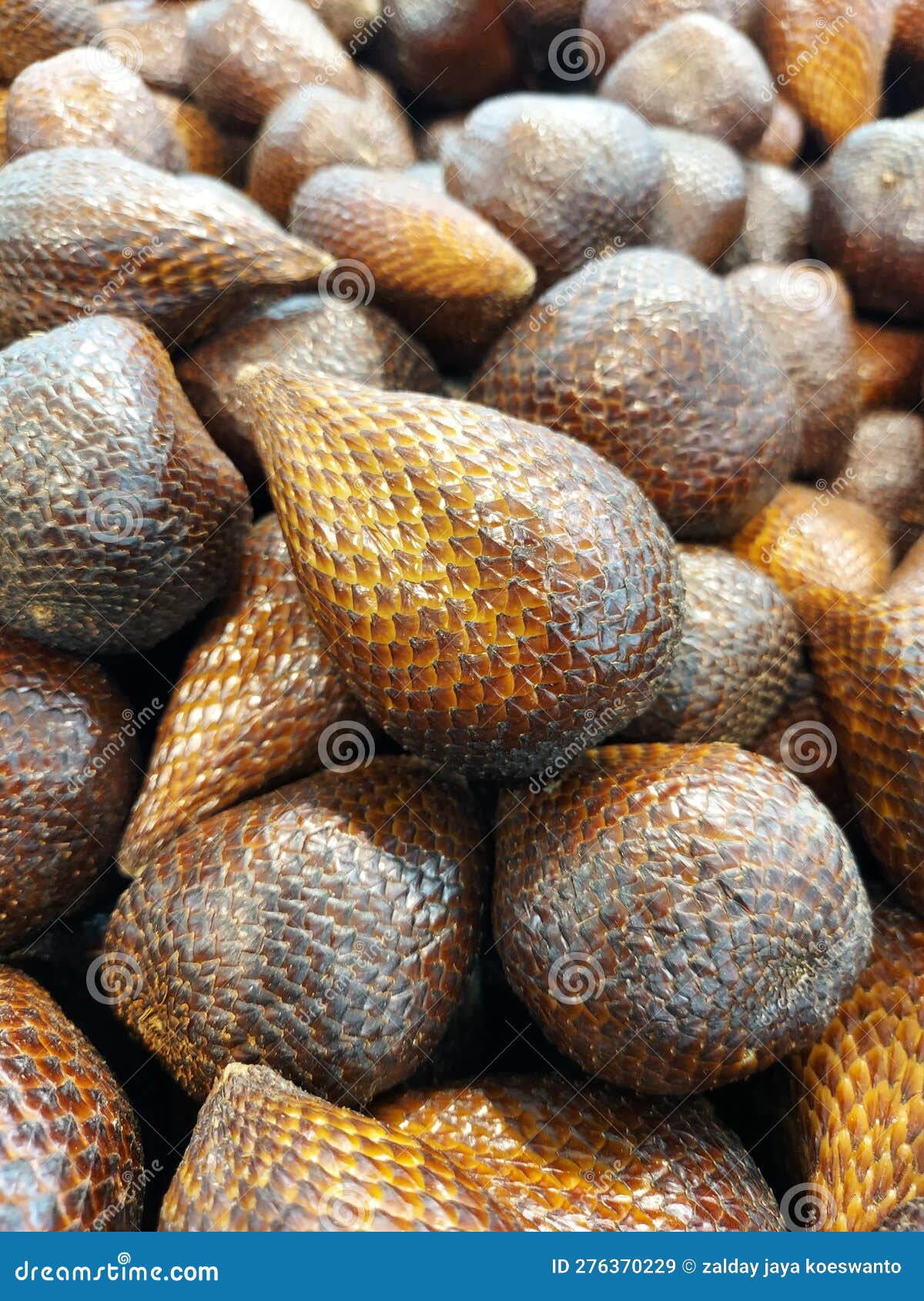 Salak Fruit that Looks Fresh with a Beautiful Color Stock Image - Image ...