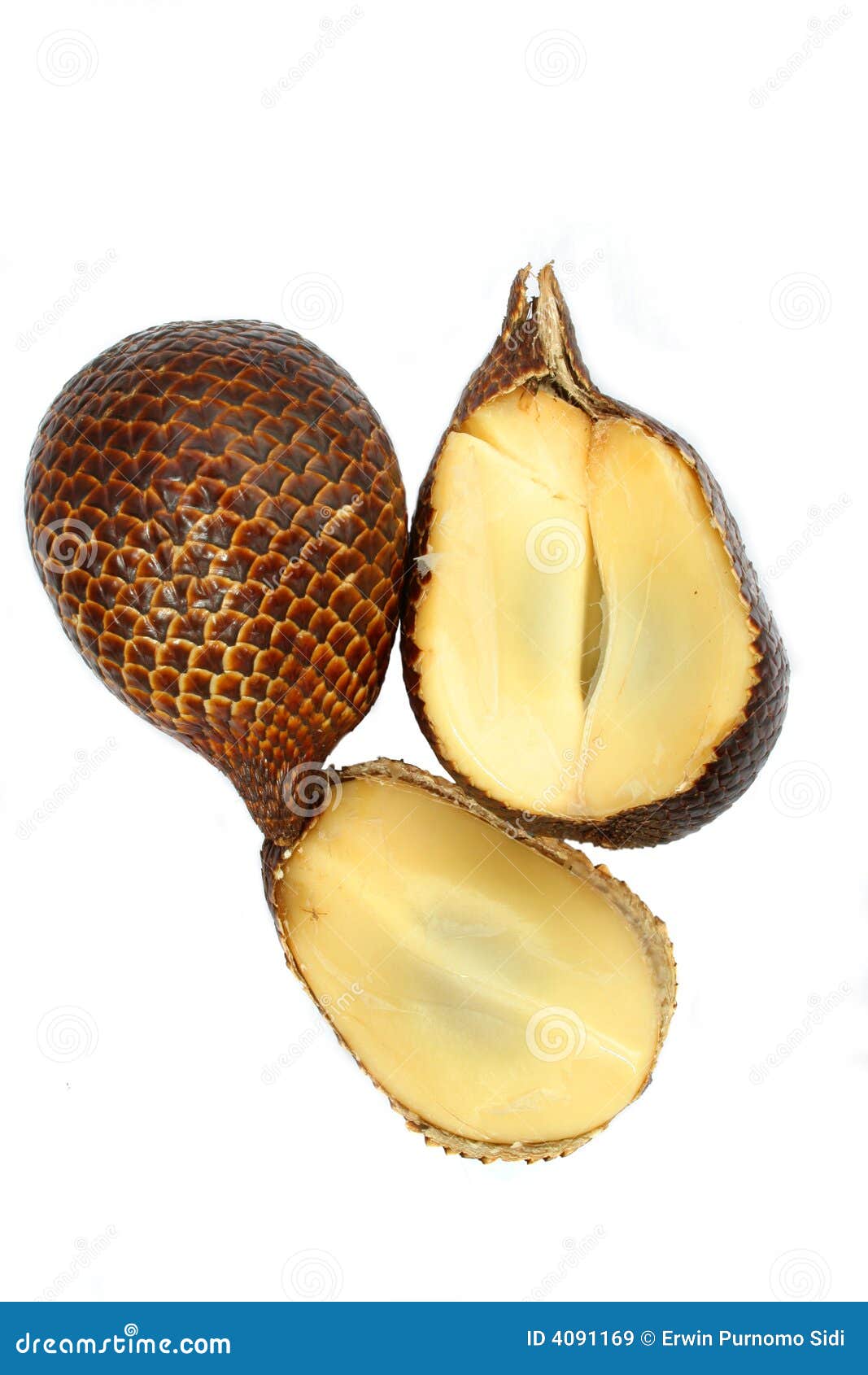 Salak Fruit Royalty-Free Stock Photography | CartoonDealer.com #24522269