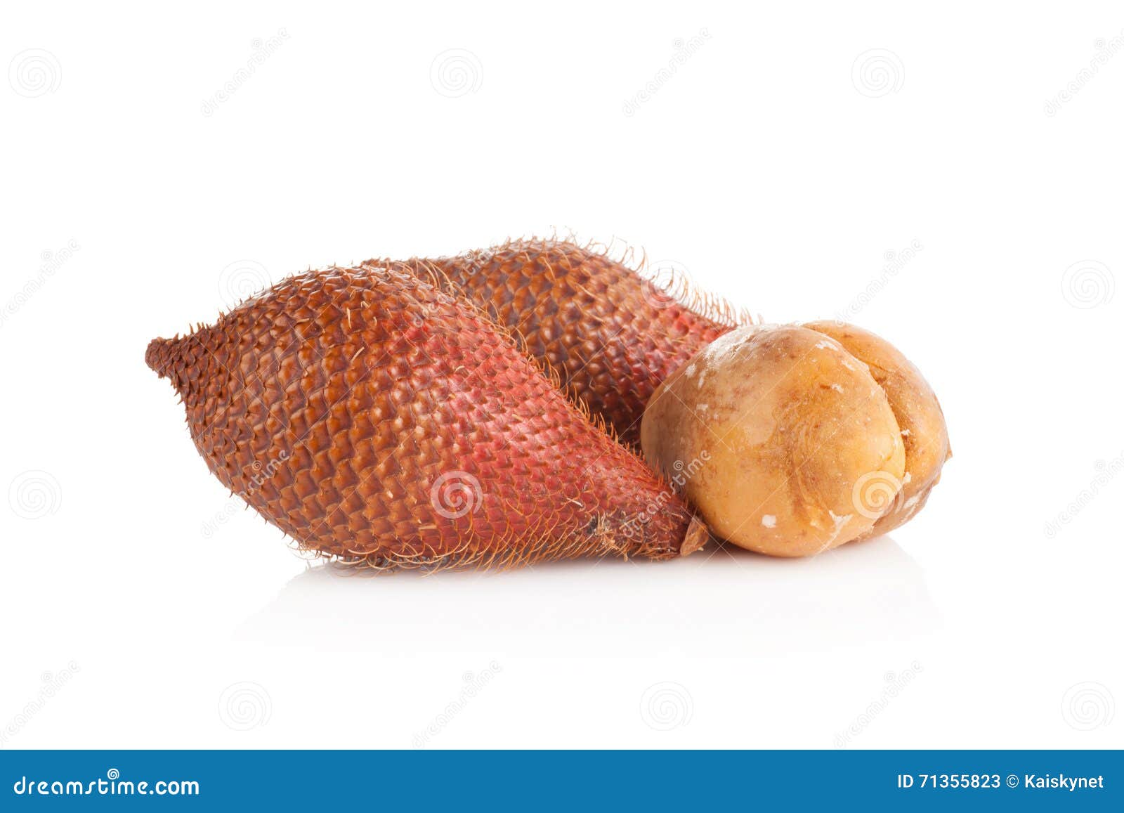 Salak Isolated on a White Background Stock Image - Image of zalacca ...