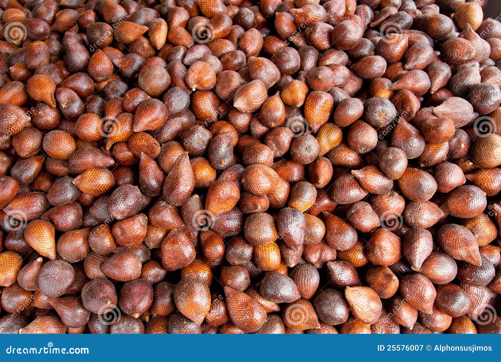 Salak or snake fruit stock image. Image of tropical, food - 25576007