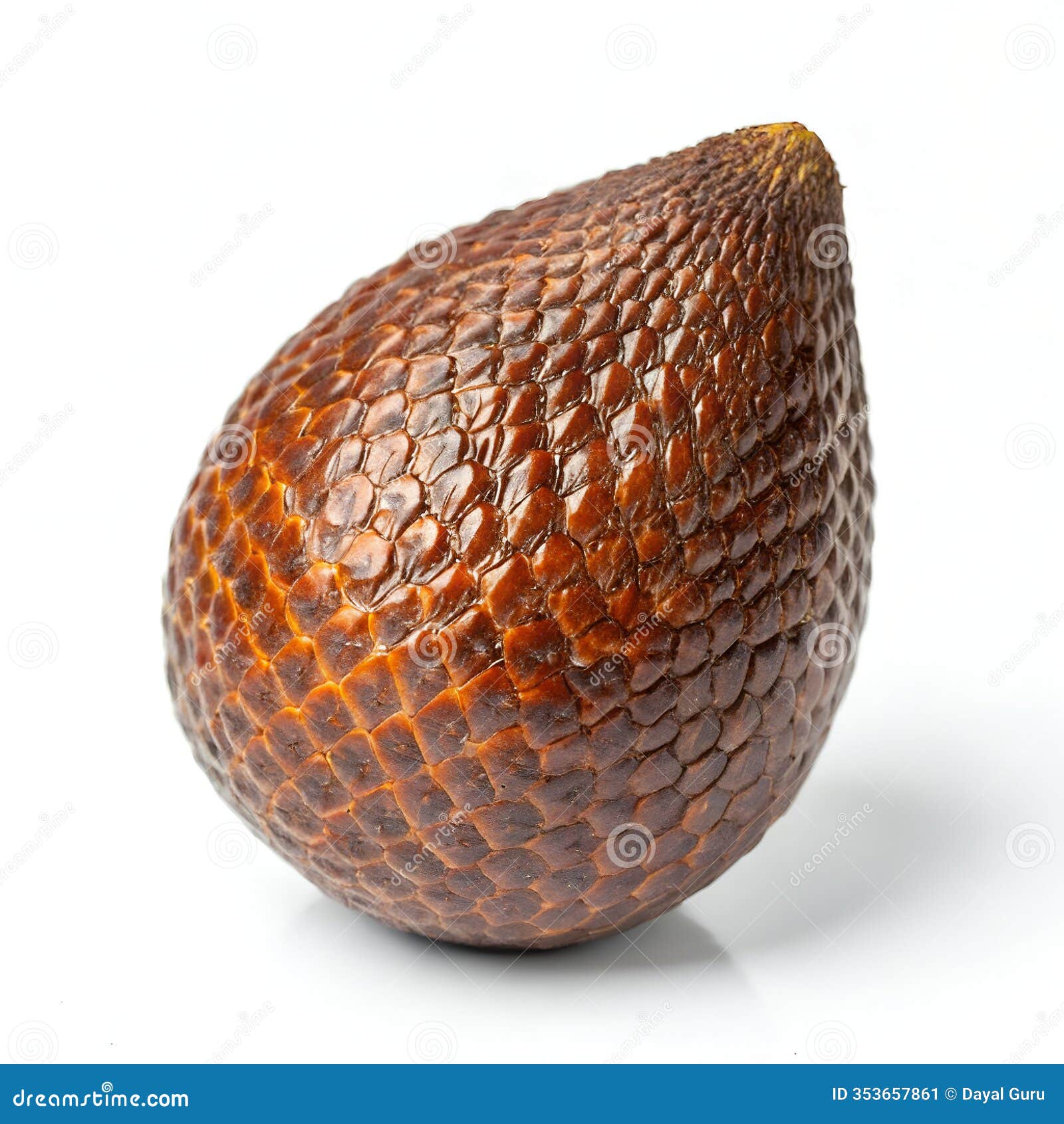Snake Fruit Icon Doodle Illustration Royalty-Free Cartoon ...