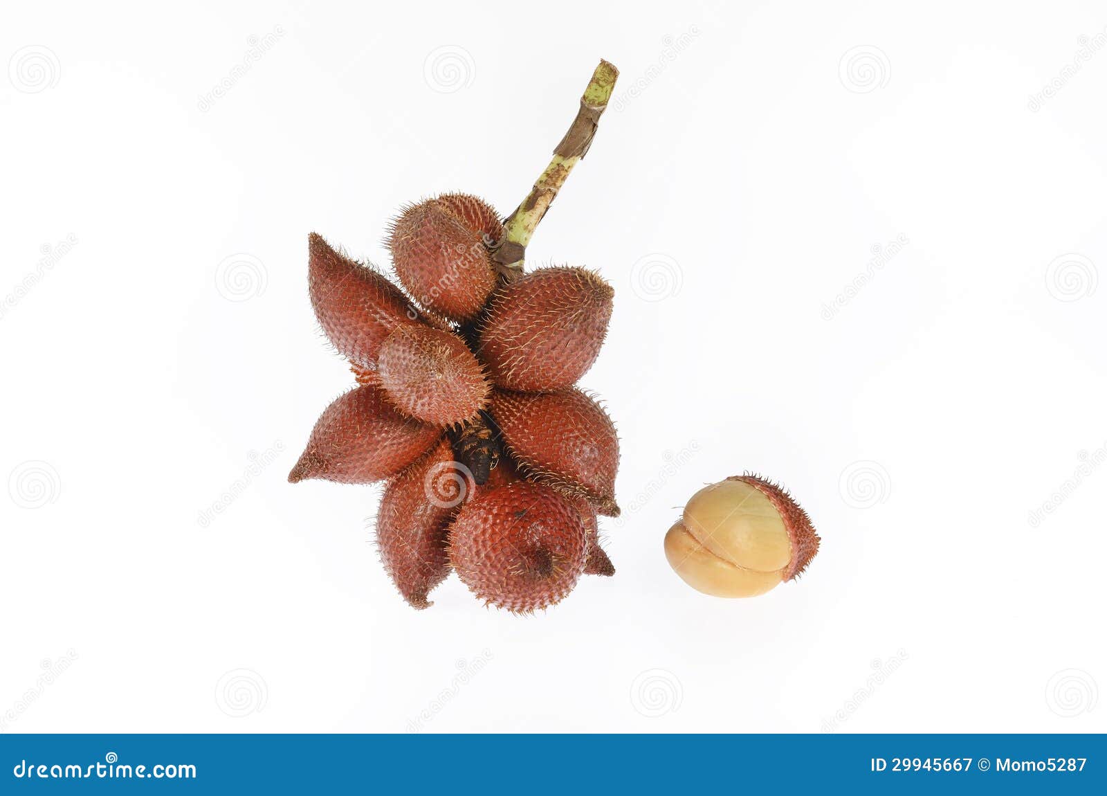 Salaka fresh fruit stock image. Image of asian, fresh - 29945667