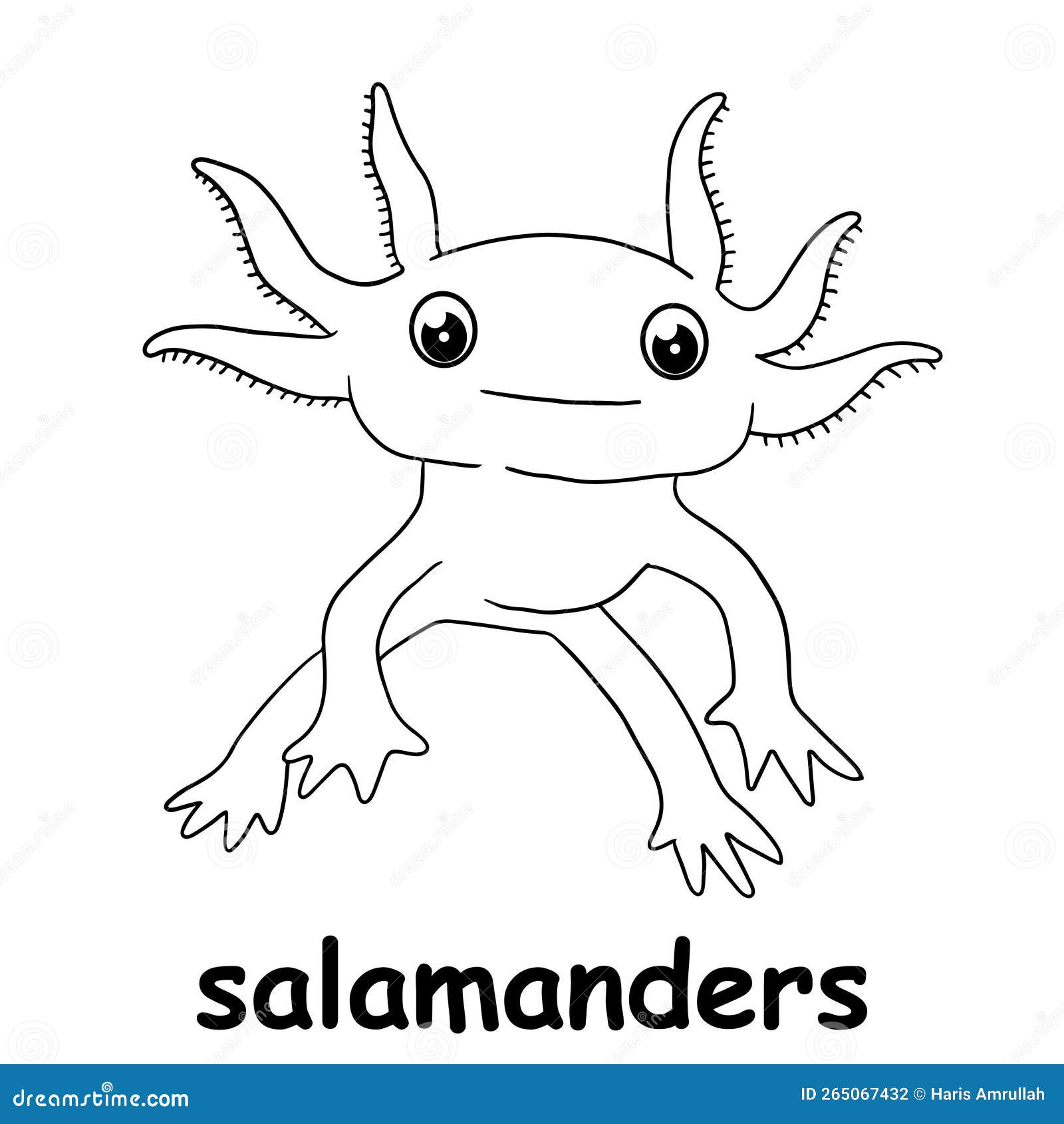 Kids Line Illustration Coloring Salamanders. Outline Vector for ...