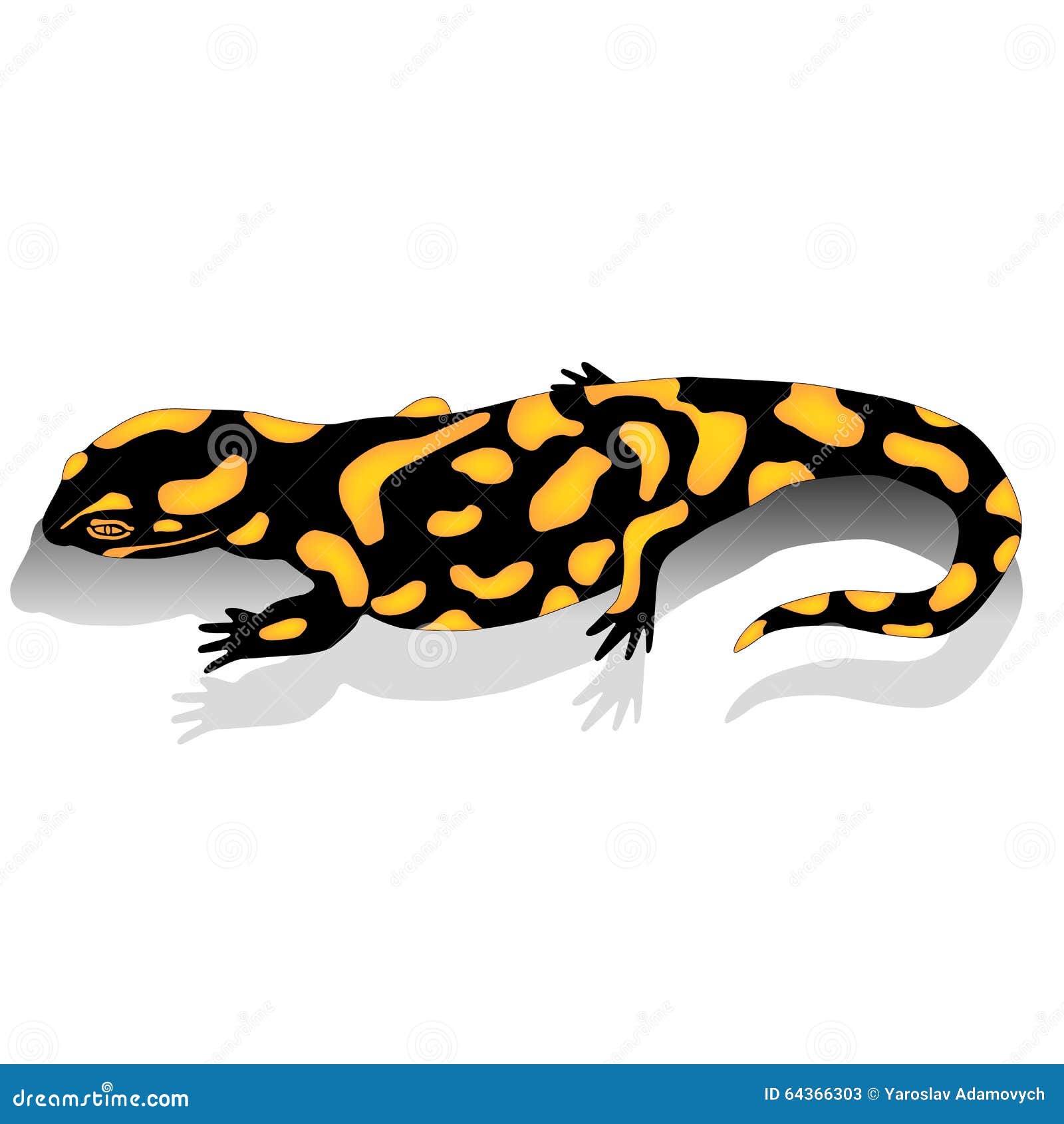 Salamander stock vector. Illustration of gecko, color - 64366303