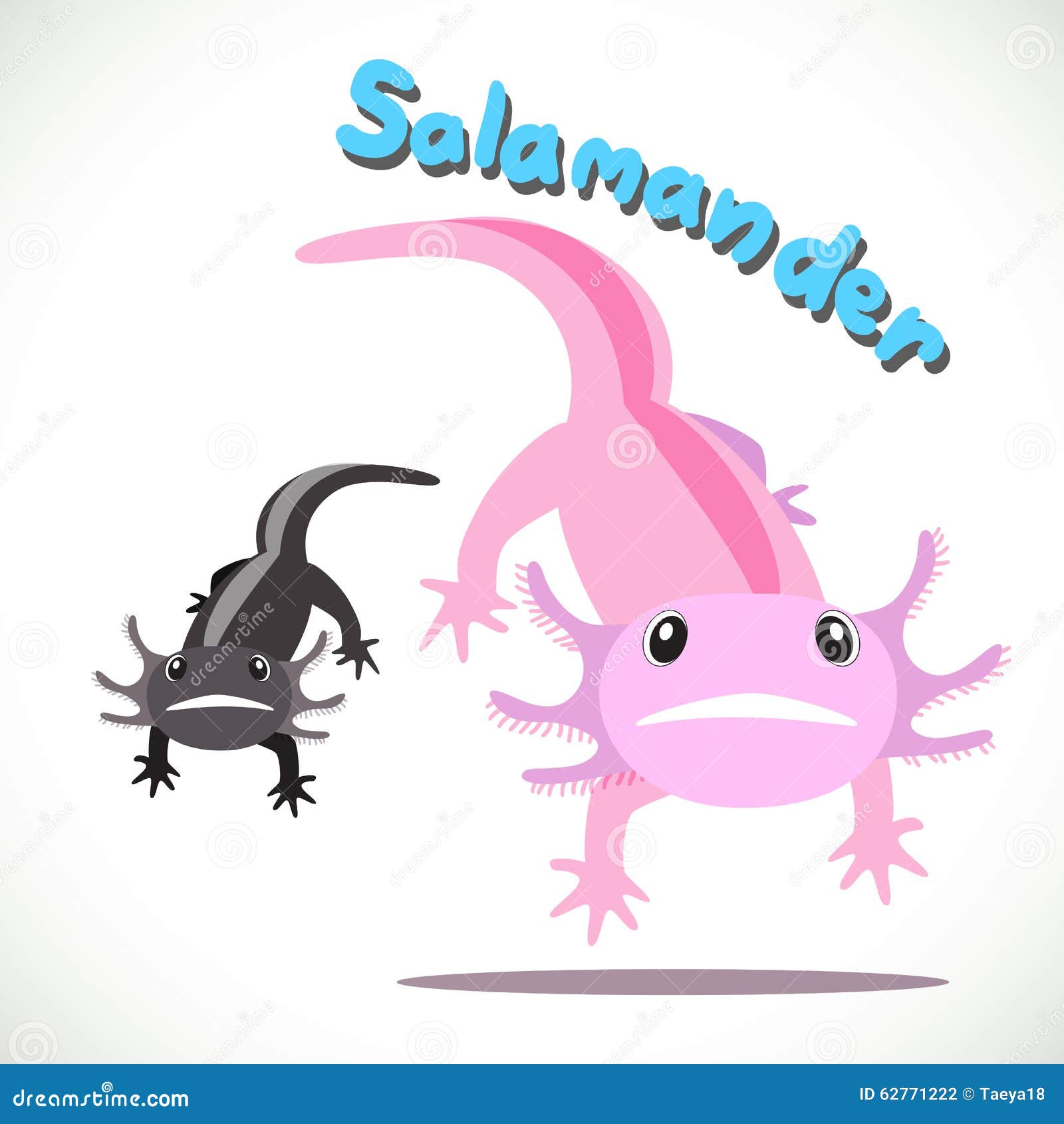 Salamander stock illustration. Illustration of sticker - 62771222