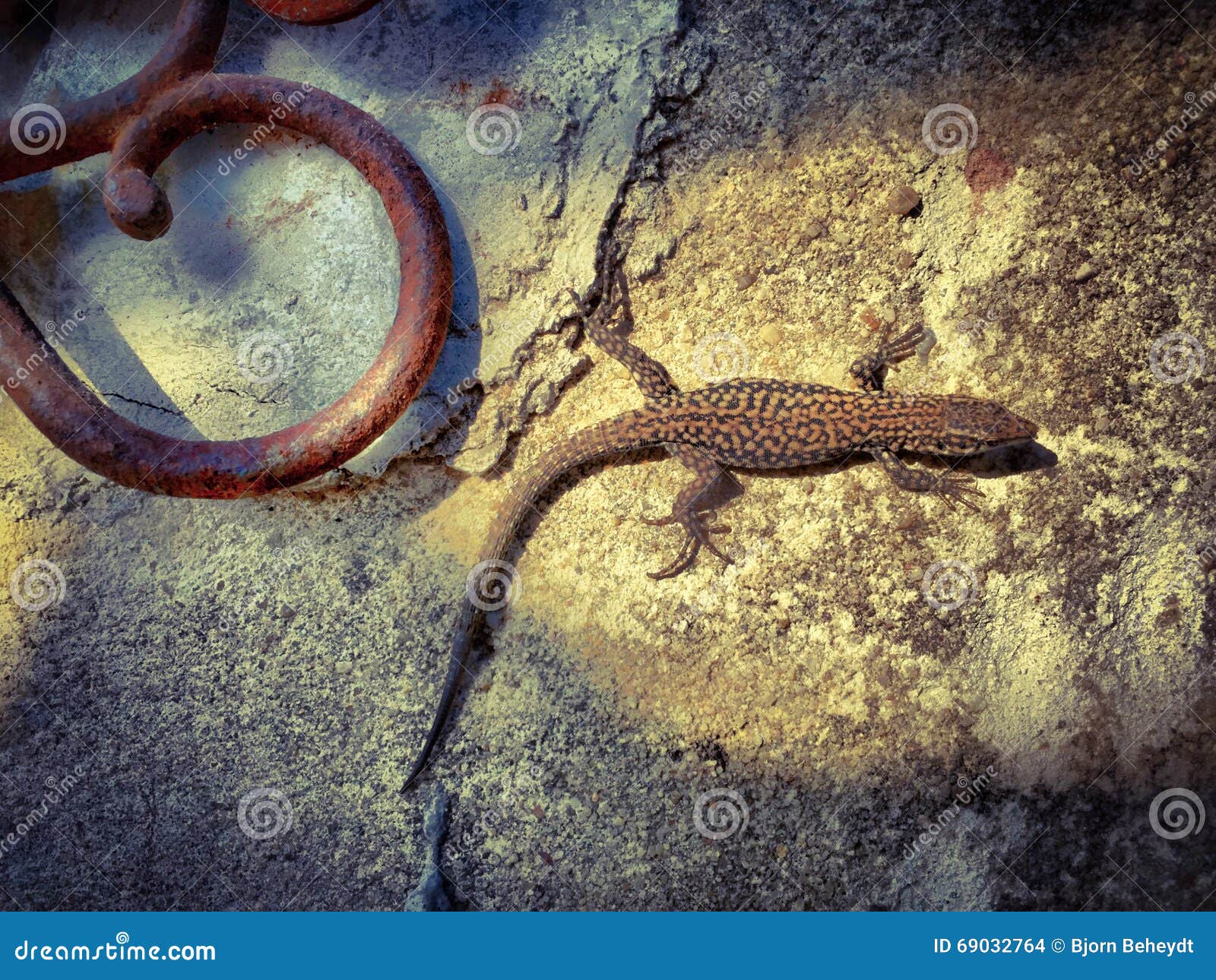 Salamander stock photo. Image of green, decoration, textured - 69032764