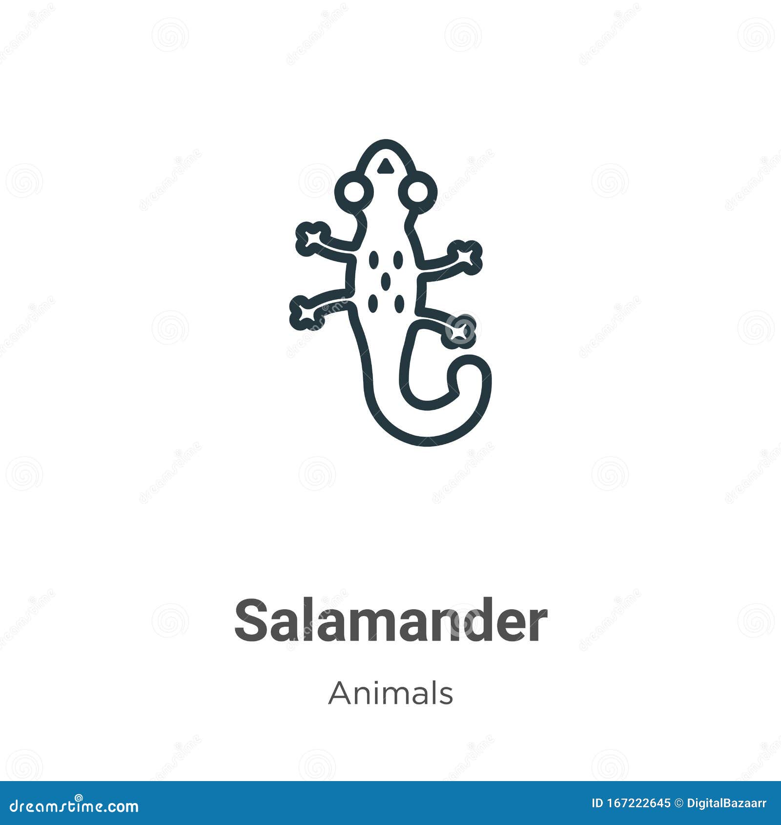 Outline Salamander Vector Icon. Isolated Black Simple Line Element ...