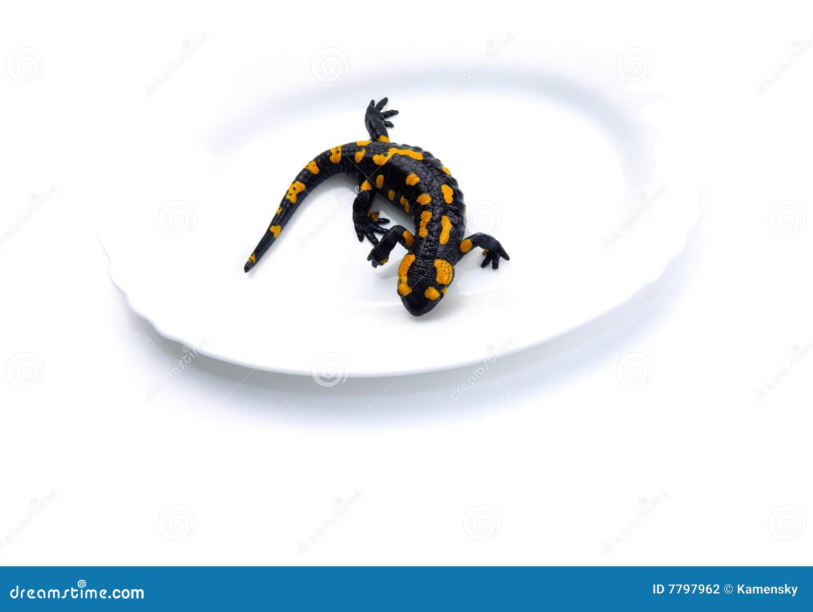 350 Plate Glance Stock Photos - Free & Royalty-Free Stock Photos from ...