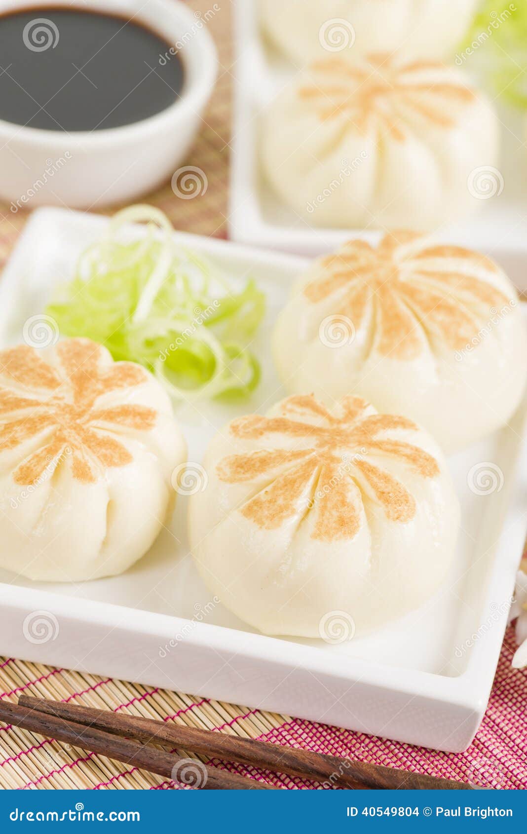 Salapao stock photo. Image of onion, plate, asian, dish - 40549804