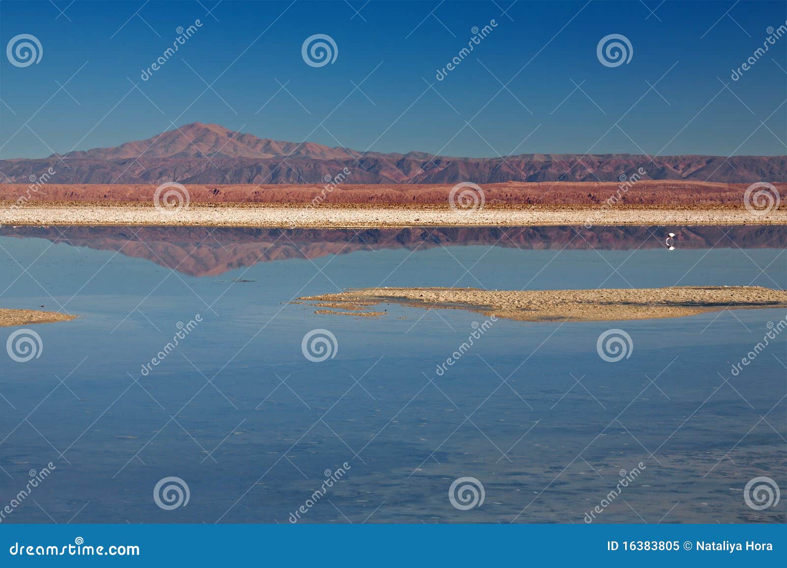 Salar de Atacama, Chile stock image. Image of chile, reflection - 16383805