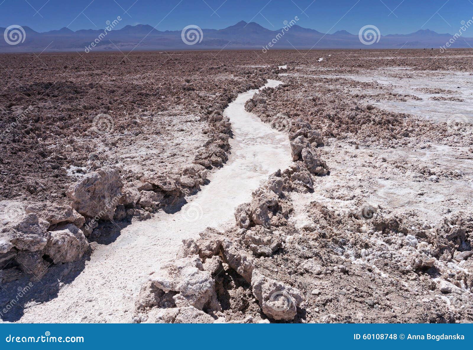 Salar de Atacama, Chile stock photo. Image of largest - 60108748