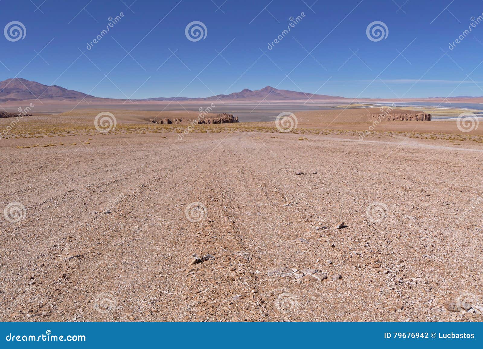 Salar de Tara stock photo. Image of america, lake, atacama - 79676942