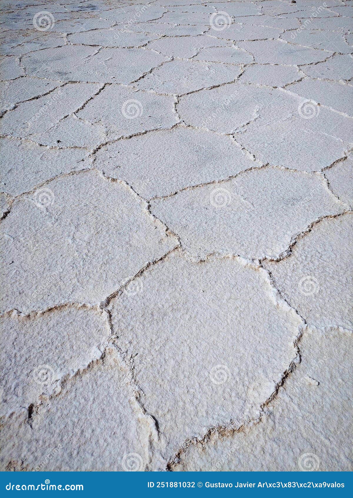 Salard Stock Photos - Free & Royalty-Free Stock Photos from Dreamstime