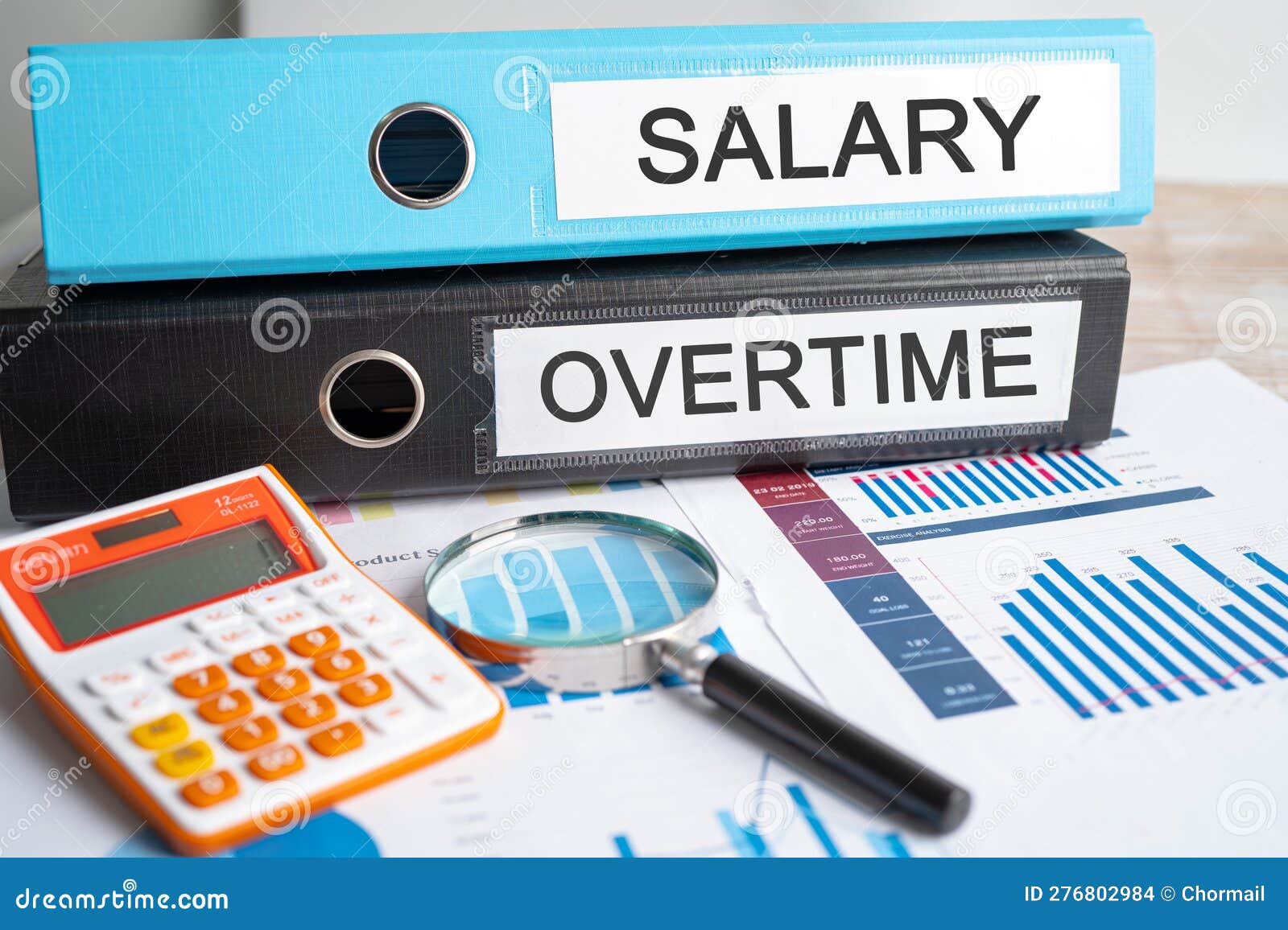 Salary, Overtime. Binder Data Finance Report Business with Graph ...