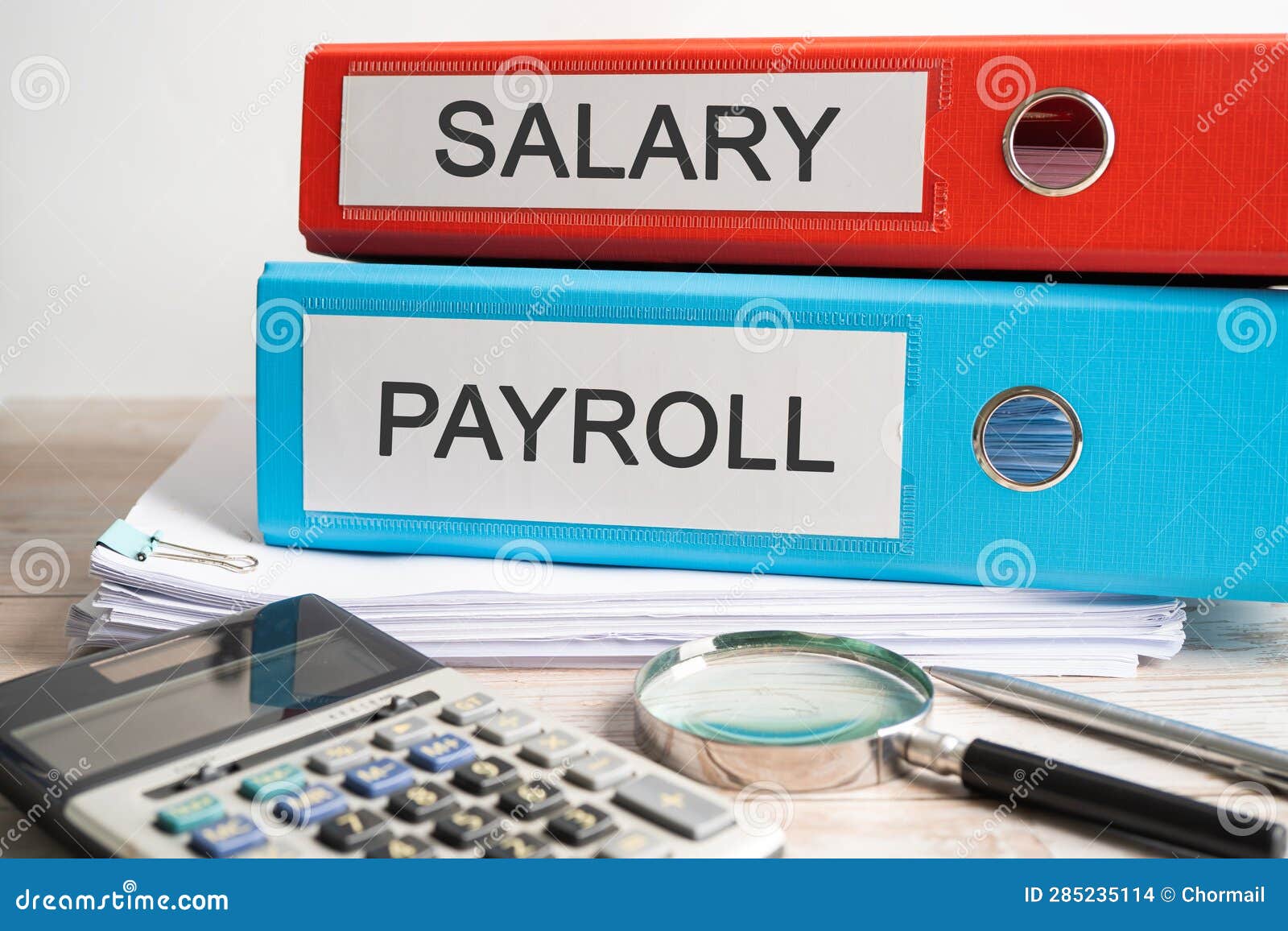 Salary Payroll. Binder Data Finance Report Business with Graph Analysis ...